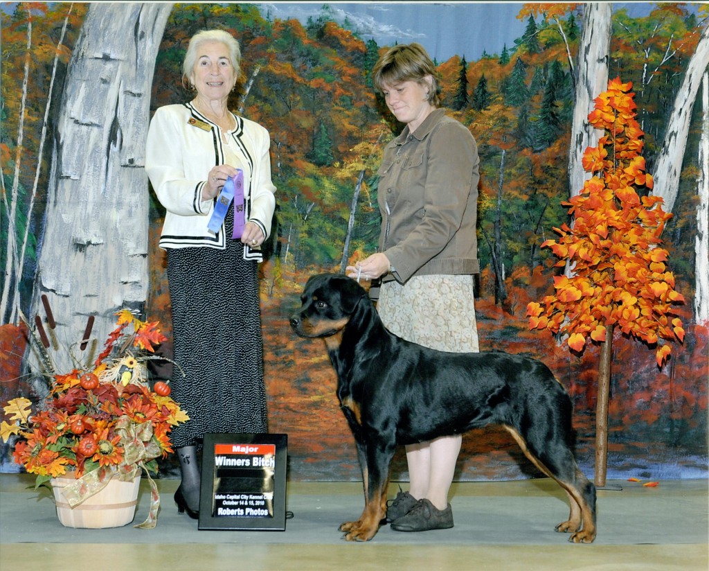 Am/Can CH Parisans Moxy ADT Mover of 2Infinity RN – 2Infinity ...